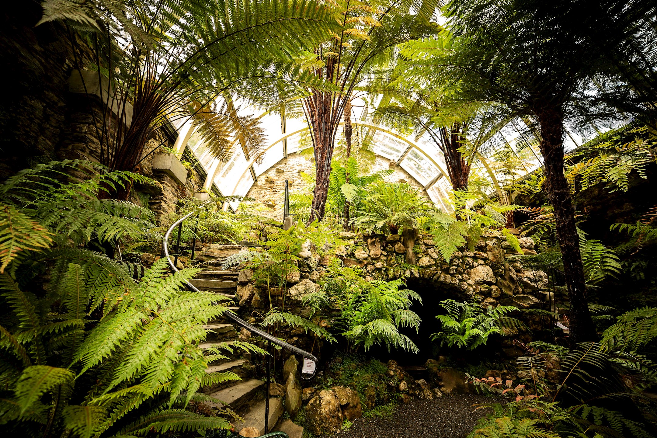 Benmore Botanic Garden | Visit | Royal Botanic Garden Edinburgh